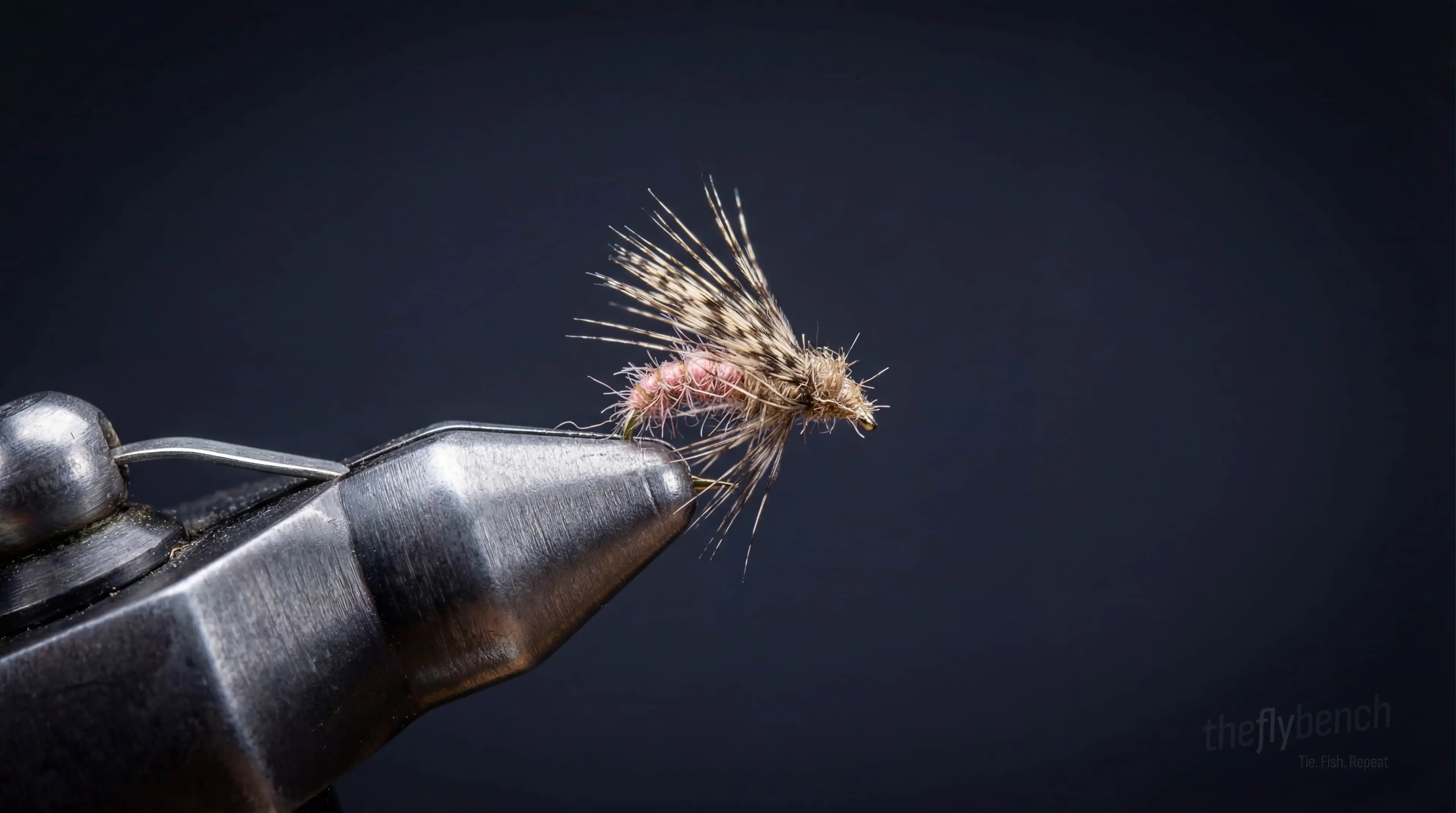 Glossosoma Caddis Larva | The Fly Bench | The Fly Bench