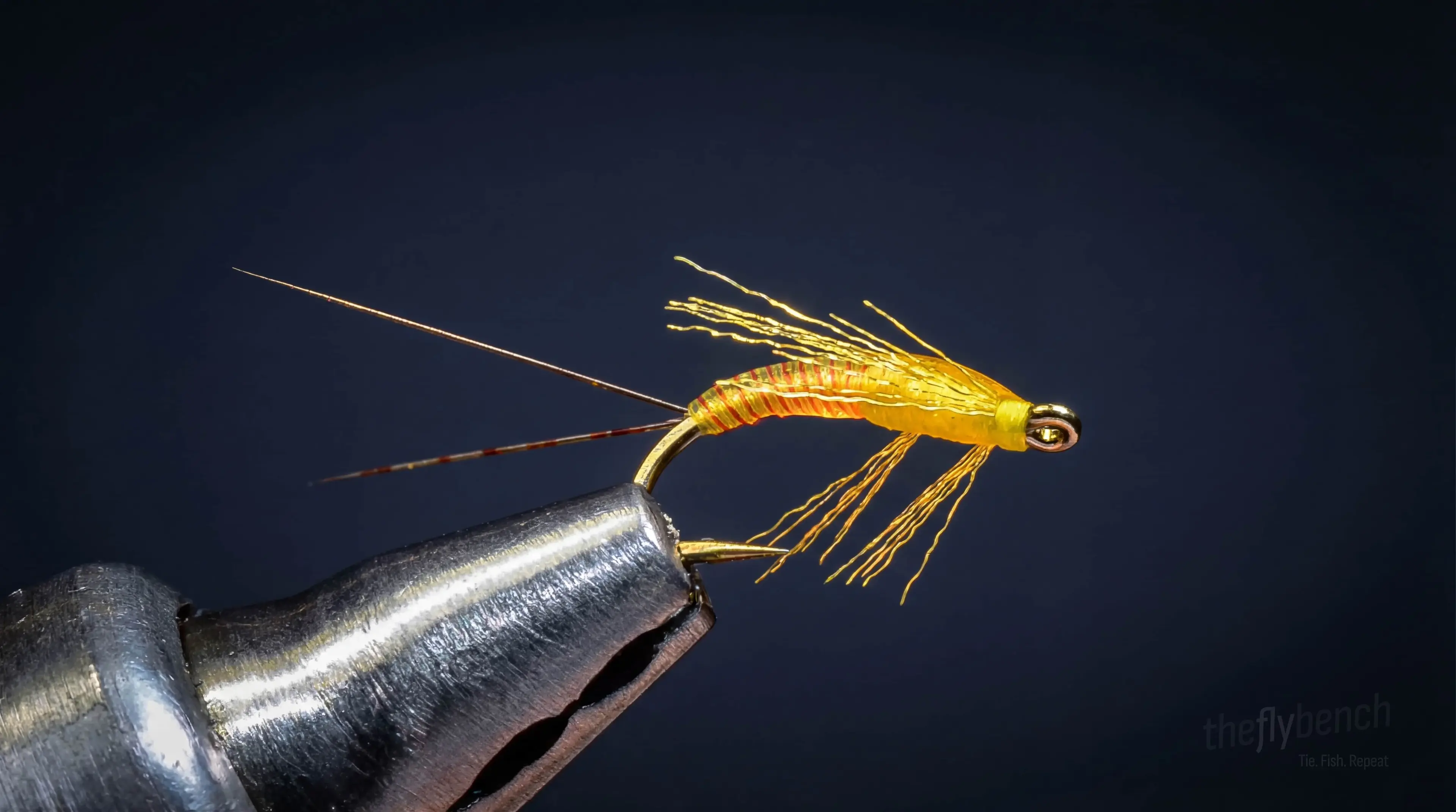 Juju Sally | The Fly Bench | The Fly Bench