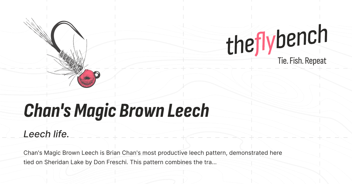 Chan's Magic Brown Leech Fly Pattern