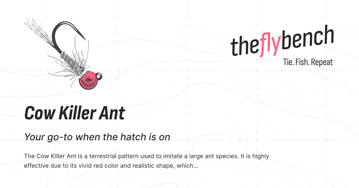 Cow Killer Ant Fly Pattern