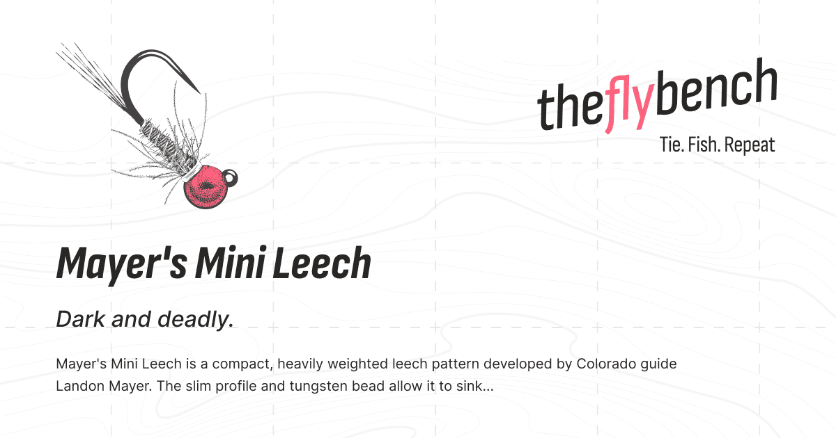 Mayer's Mini Leech Fly Pattern