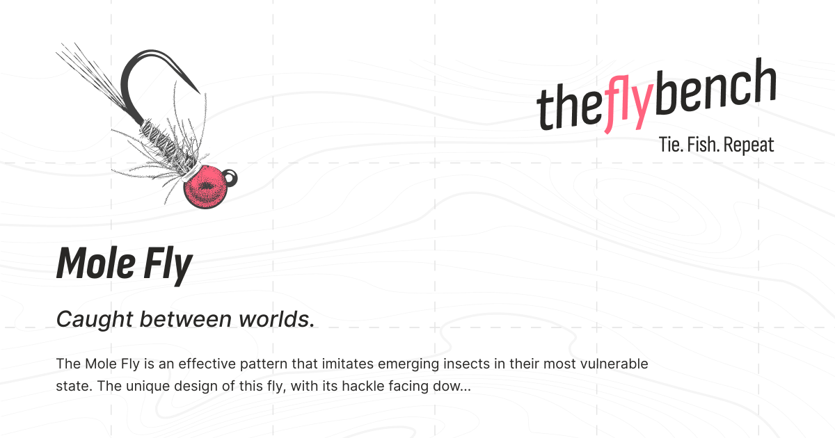 Mole Fly | The Fly Bench | The Fly Bench